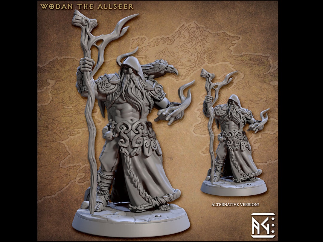 Odin With Raven ,medium Sized for DND - Etsy