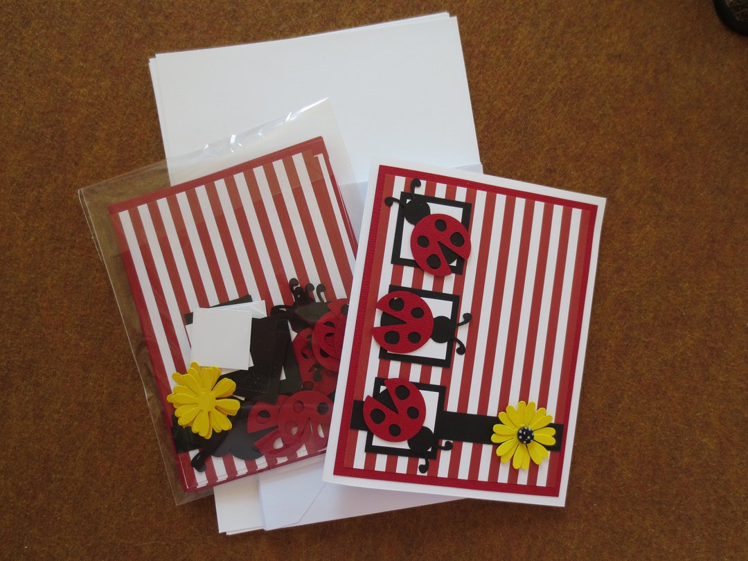 Card Kit - Lady Bug With Flower - Card Bundle - Blank Card - Do It ...