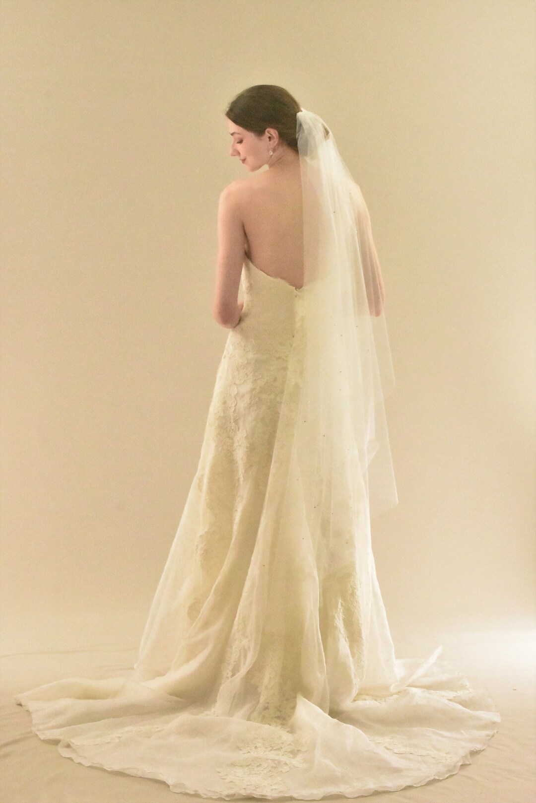 Sheer Modern Design Angel Cut Veil with Swarovski Crystals Sparkly ...