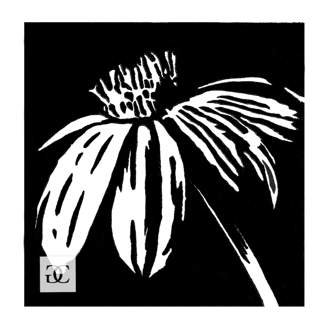 Daisy, Original Black & White Linocut Relief Print, Hand-printed Flower ...