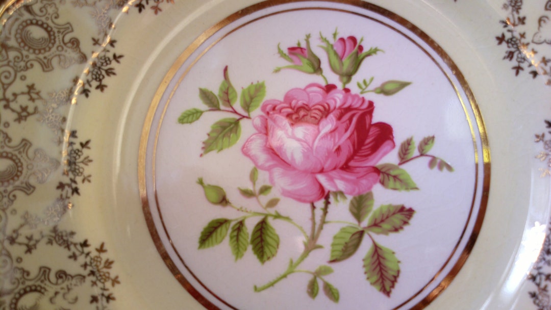 Vintage Arklow China Plate - Etsy