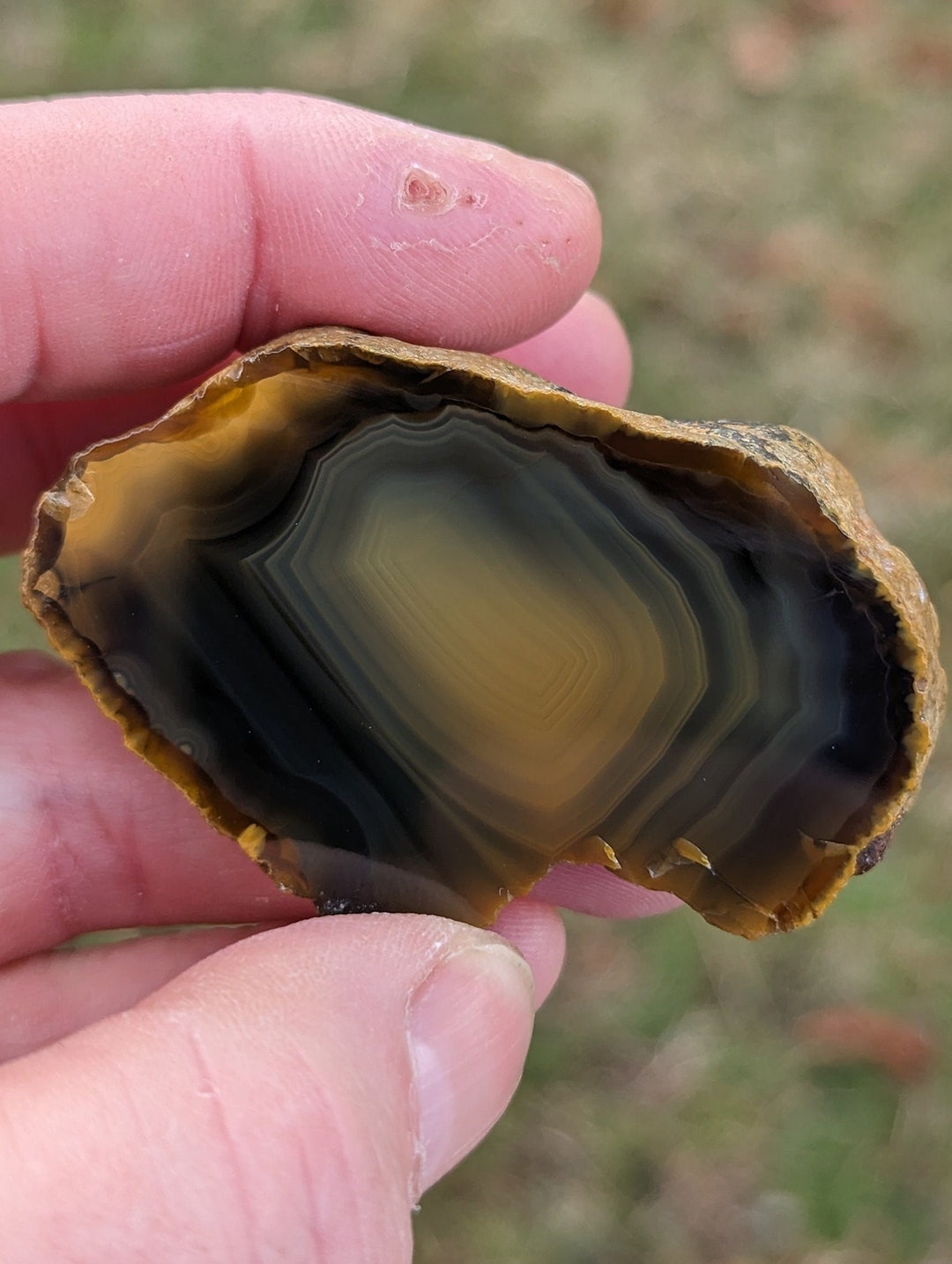 Agate, Penstock Lagoon, Tasmania, Australia, polished half - Etsy 日本