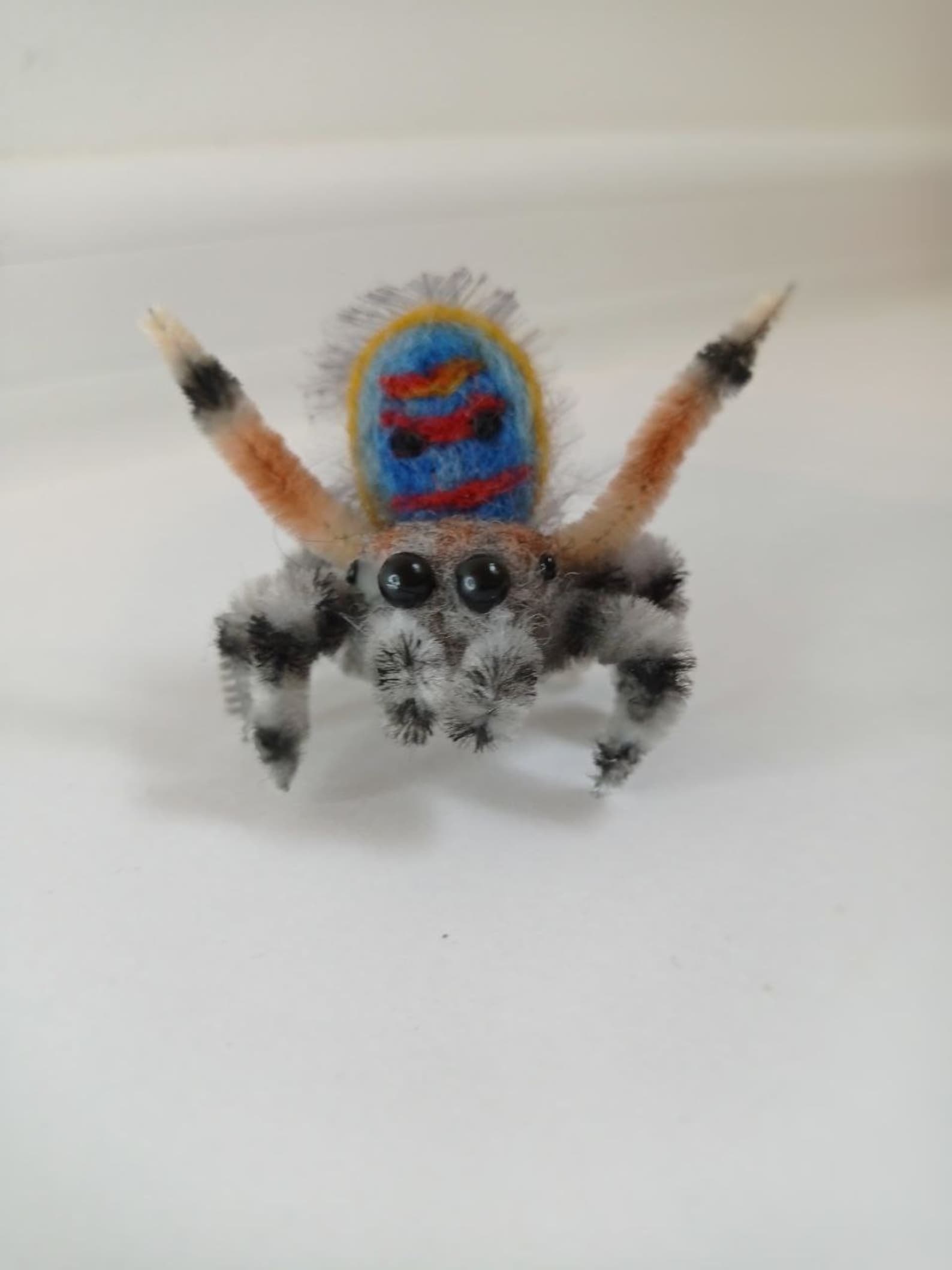 Needle Felted Peacock Jumping Spider Tutorial (PDF Download) - Etsy