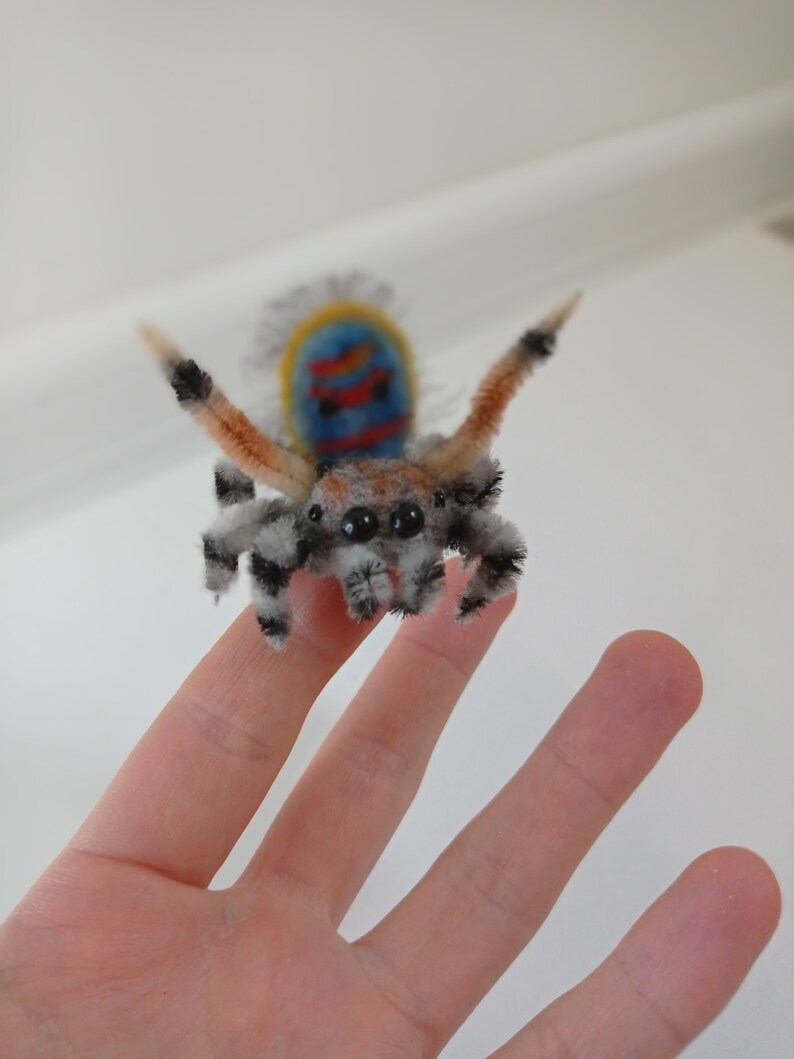Realistic Needle Felted Jumping Peacock Spider Male – Handmade Wool Toy ...