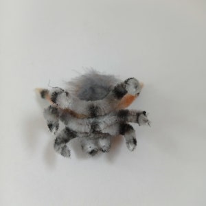 Realistic Needle Felted Jumping Peacock Spider Male – Handmade Wool Toy ...