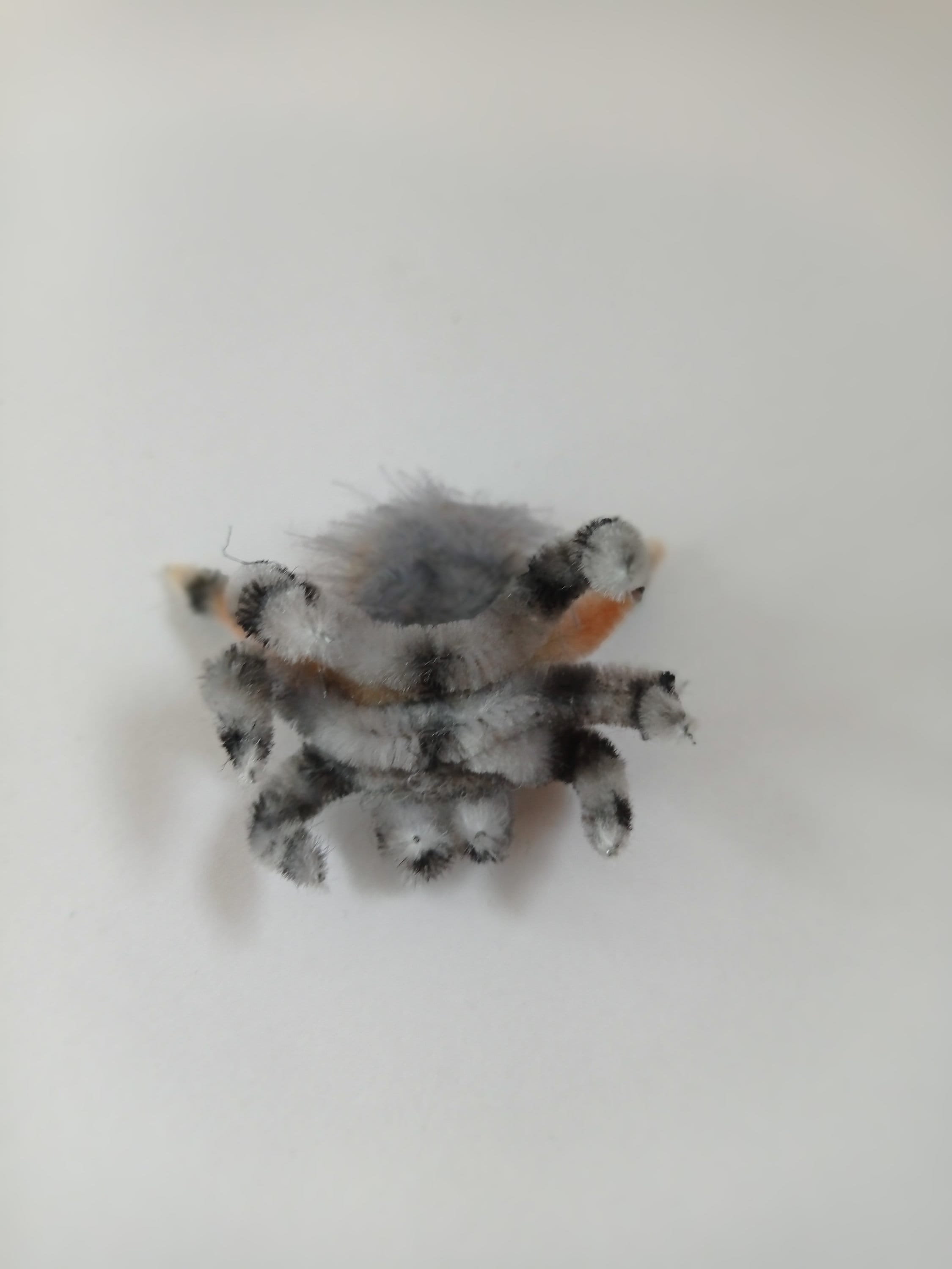 Realistic Needle Felted Jumping Peacock Spider Male – Handmade Wool Toy ...