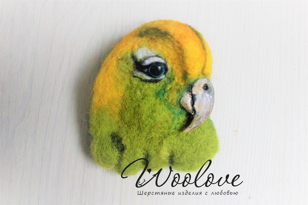 Felted Parrot Brooch/bird Brooch/parrot Jewelry/parrot Accessories ...