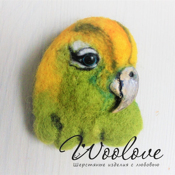 Needle Felted Parrot - Etsy
