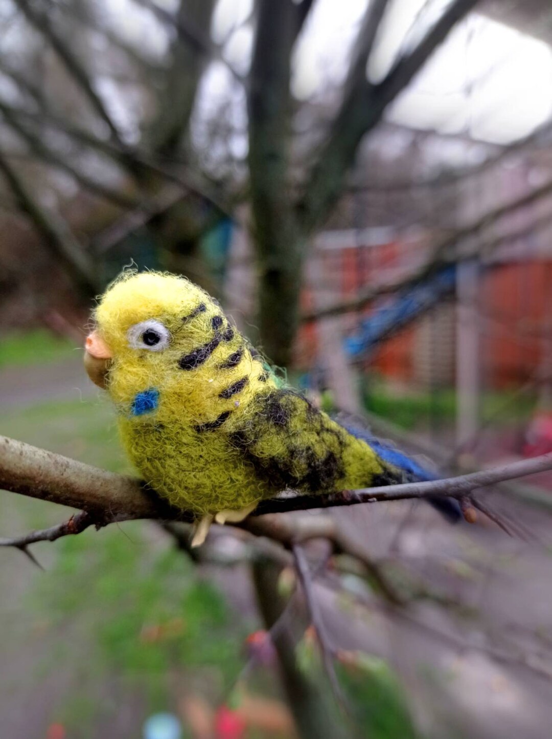 Needle Felted Budgie: Tiny Wool Parrot Sculpture, Bird Art - Etsy