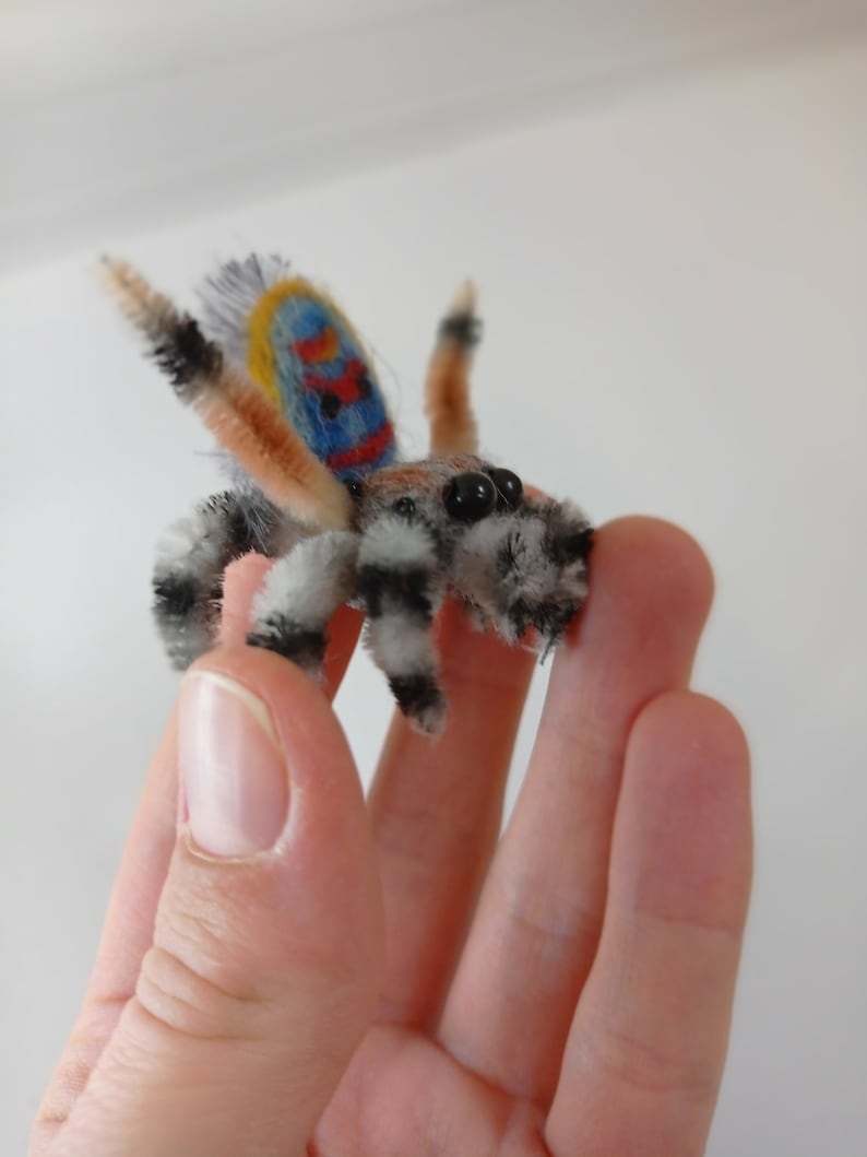 Realistic Needle Felted Jumping Peacock Spider Male – Handmade Wool Toy ...