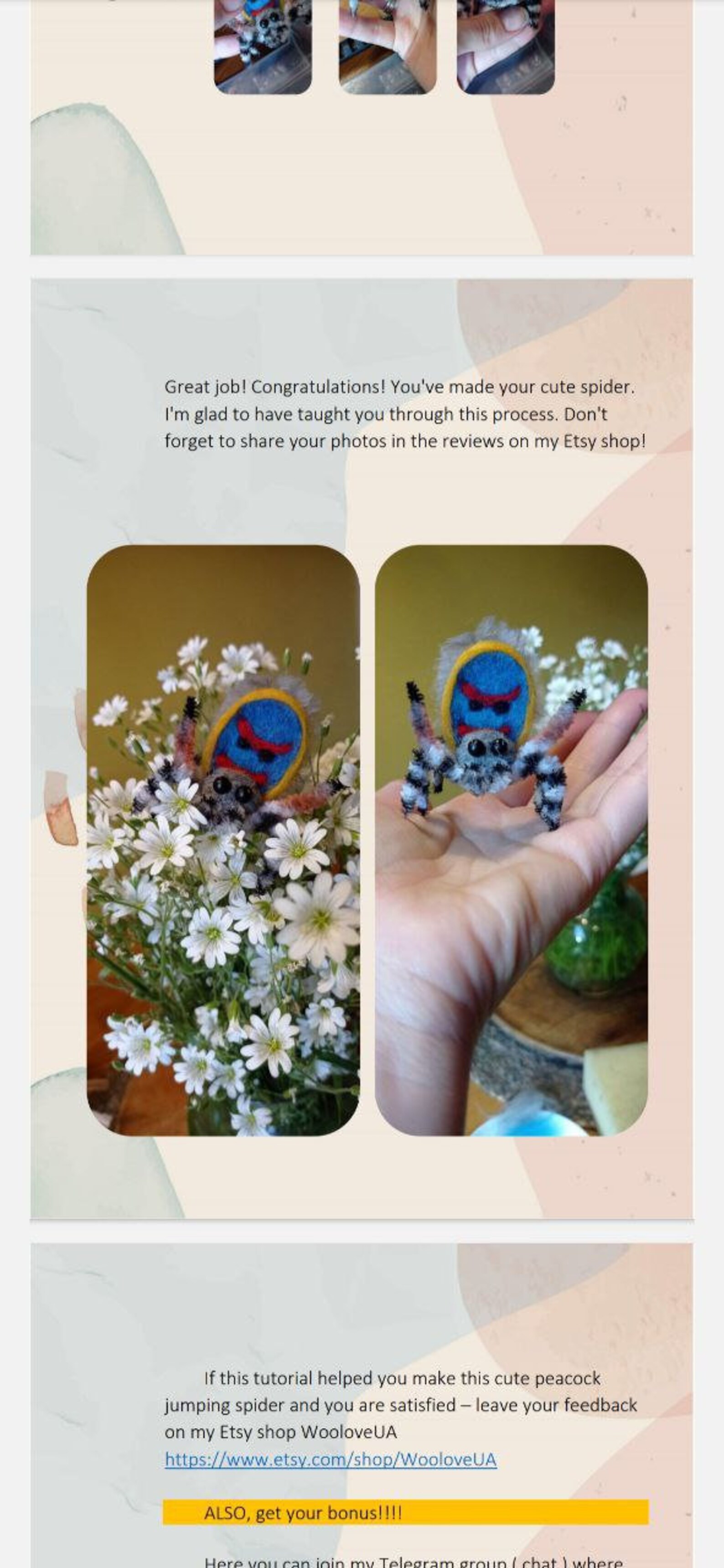 Needle Felted Peacock Jumping Spider Tutorial (PDF Download) - Etsy