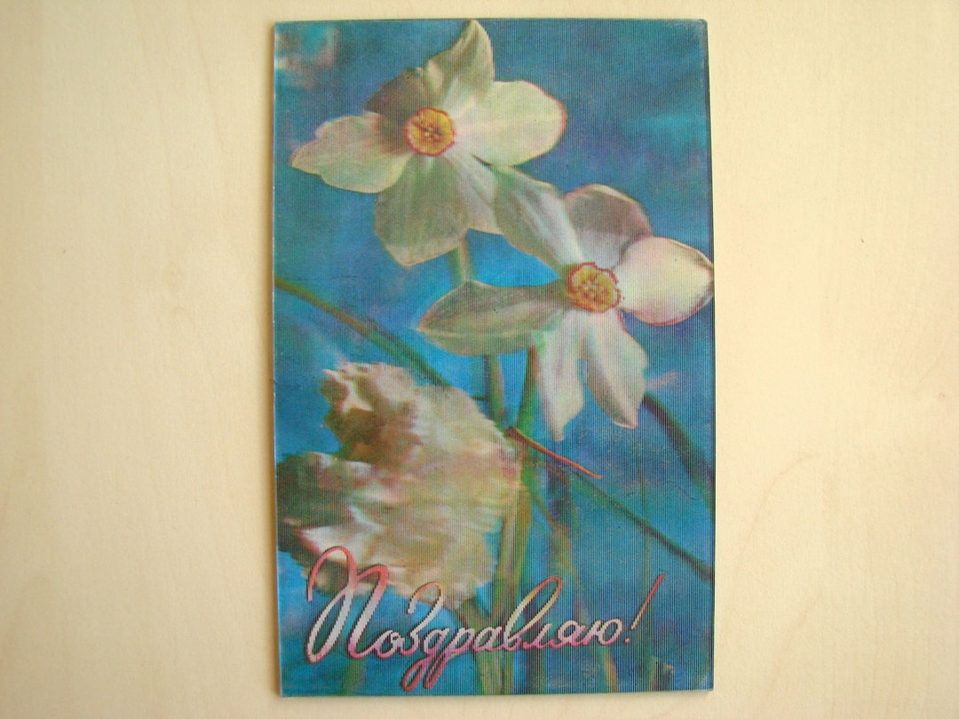 Vintage 80s Stereo 3D Postcard, Floral Greeting Card, Unsigned ...