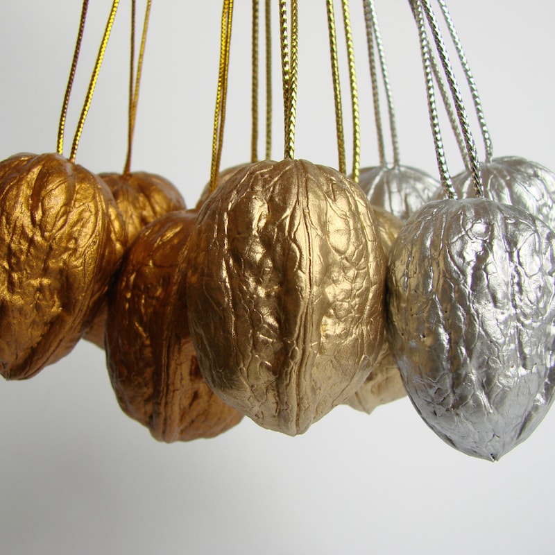 Black Walnut Shells - Etsy