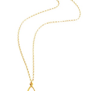 Fish Pendant Necklace 24K Gold Vermeil or Sterling Silver, Fish Charm ...