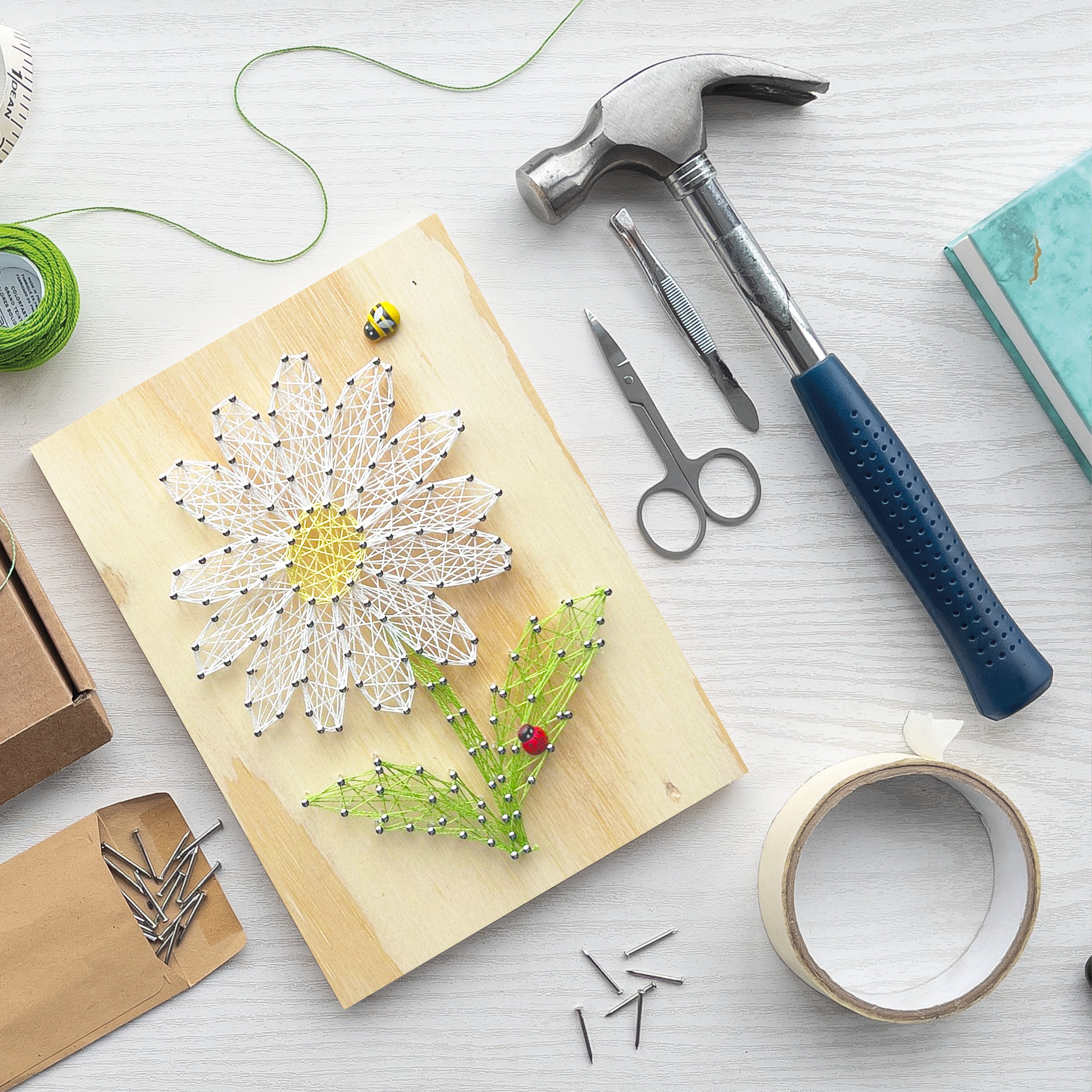Delightful Daisy - String Art Craft Kit - Letterbox Gift - Art Therapy - DIY - Flower Collection ...