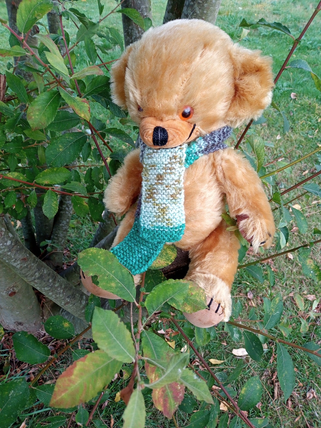 Bear Scarves Plain - Etsy
