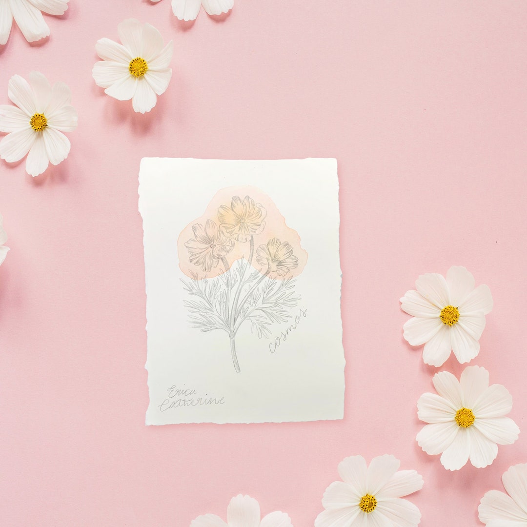 October Birth Flower Original Drawing - October Birthday Gifts - Cosmos ...