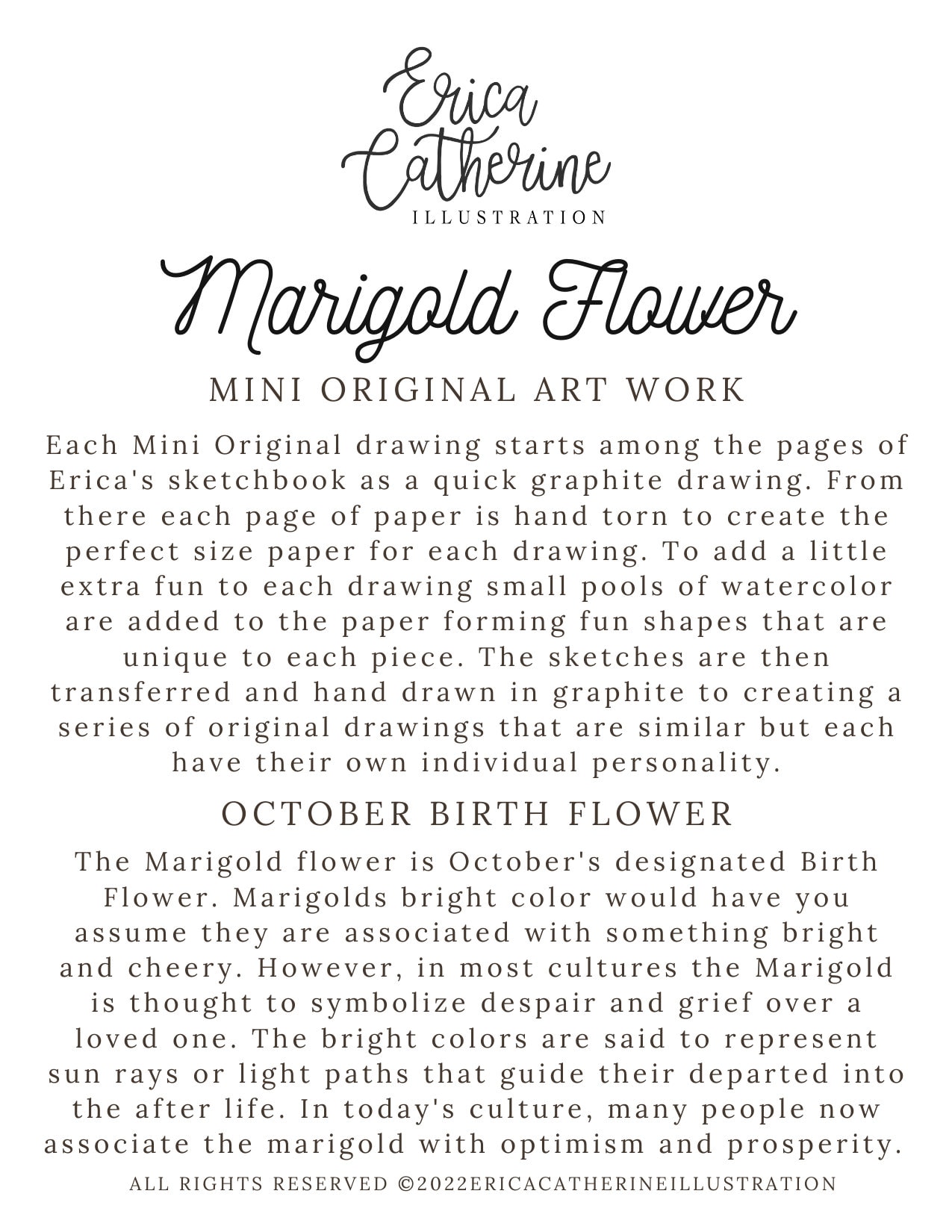 October Birth Flower Original Drawing October Birthday Gifts - Etsy