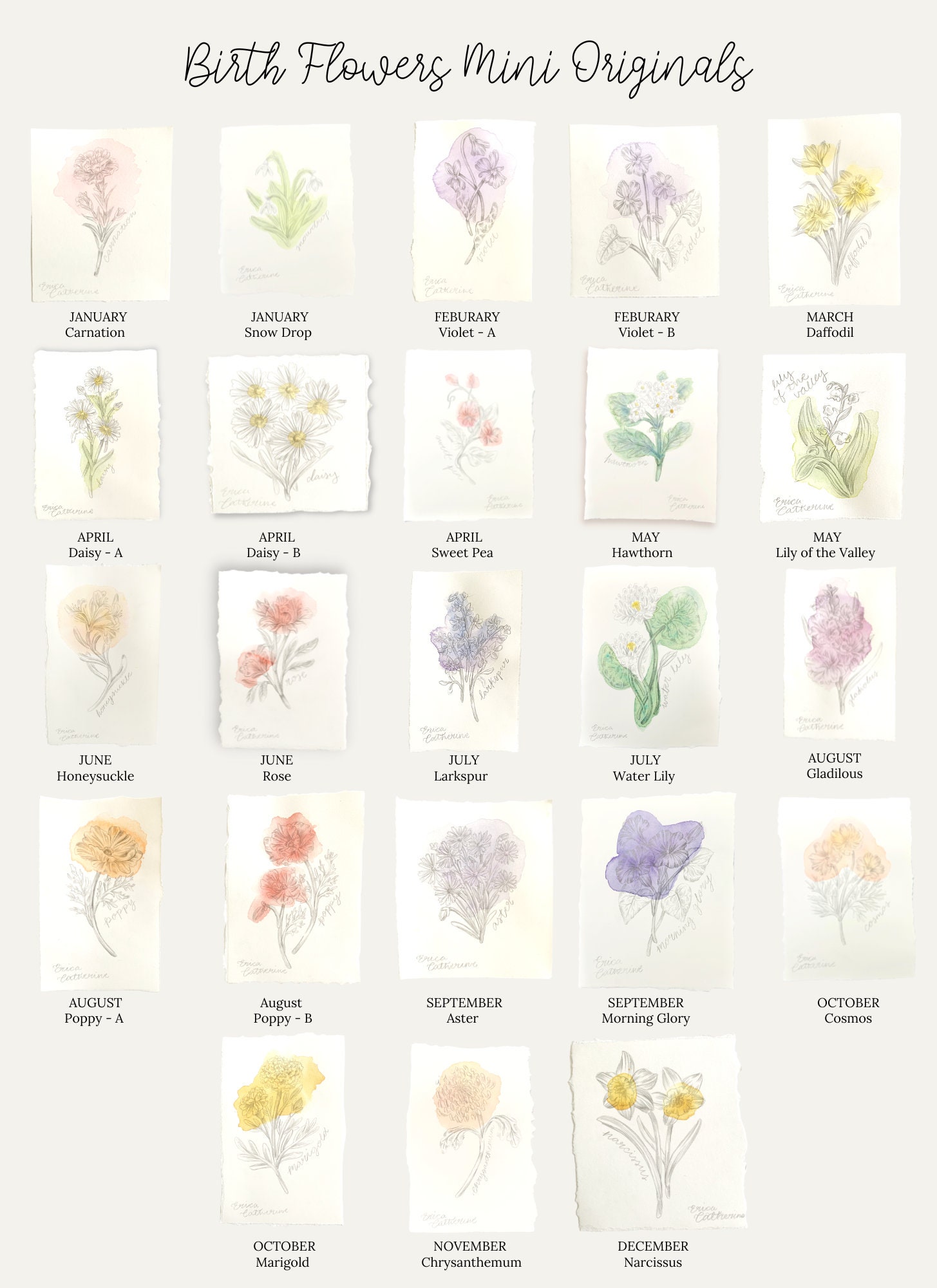 October Birth Flower Original Drawing October Birthday Gifts - Etsy