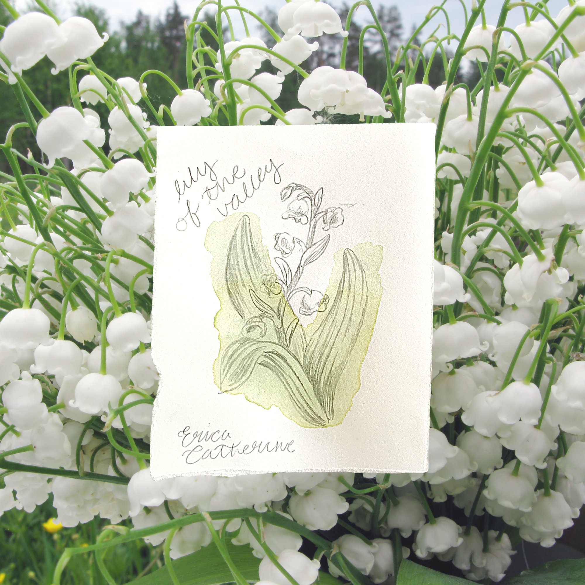 May Birth Flower Original Drawing - May Birthday Gift - Lily of the ...