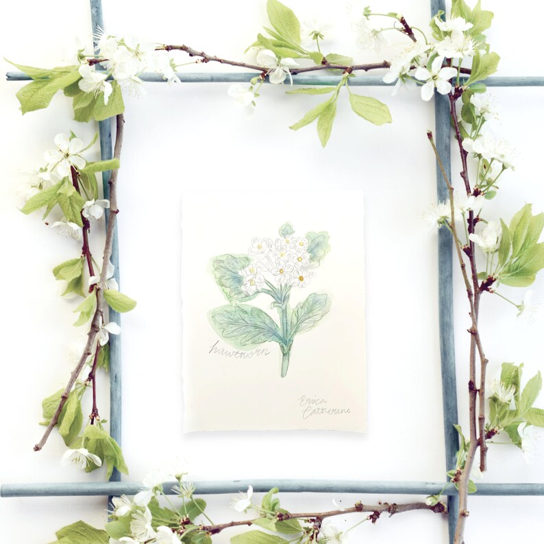 May Birth Flower Original Drawing - May Birthday Gift - Lily of the ...