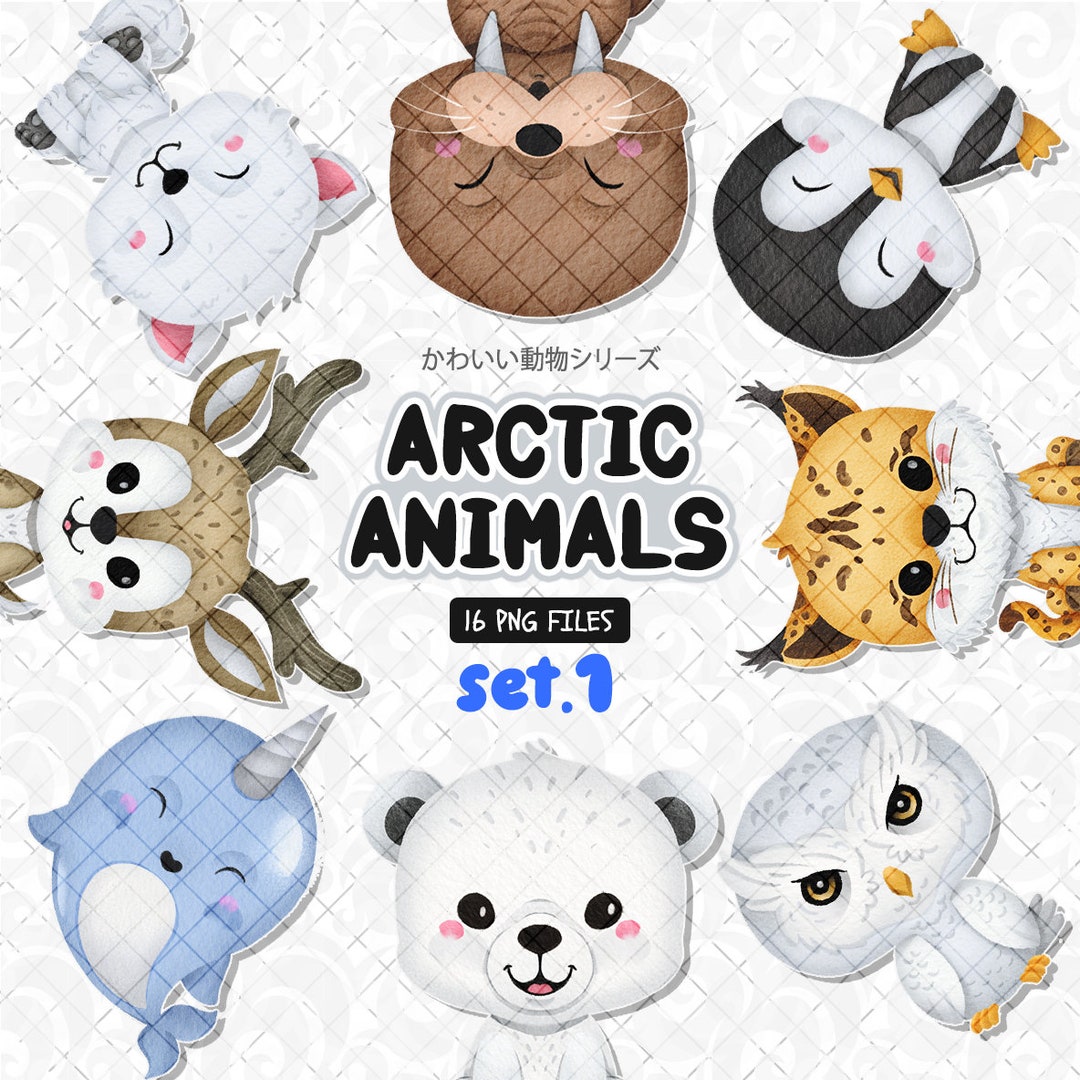 Arctic Animals Clipart Set 1, Polar Bear, Penguin, Fox Illustrations ...