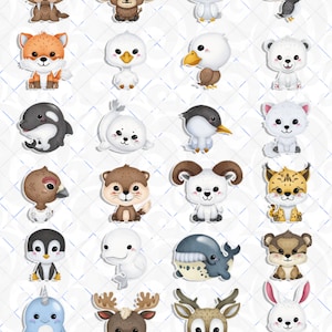 Arctic Animals Clipart BUNDLE, Puffin, Penguin, Beluga Illustrations ...