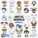 Arctic Animals Clipart BUNDLE, Puffin, Penguin, Beluga Illustrations ...