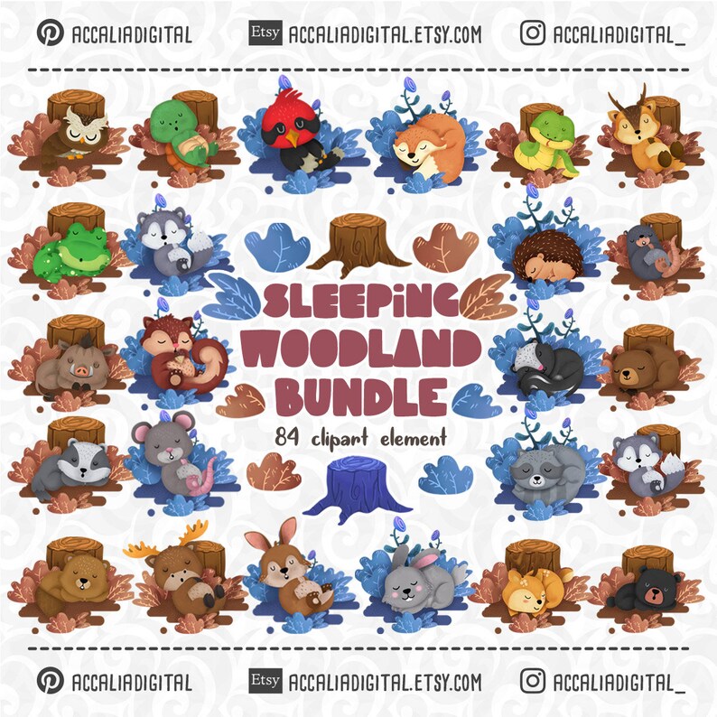 Sleeping Woodland Animals Clipart Bundle: Forest Nursery Decor (84 PNG ...
