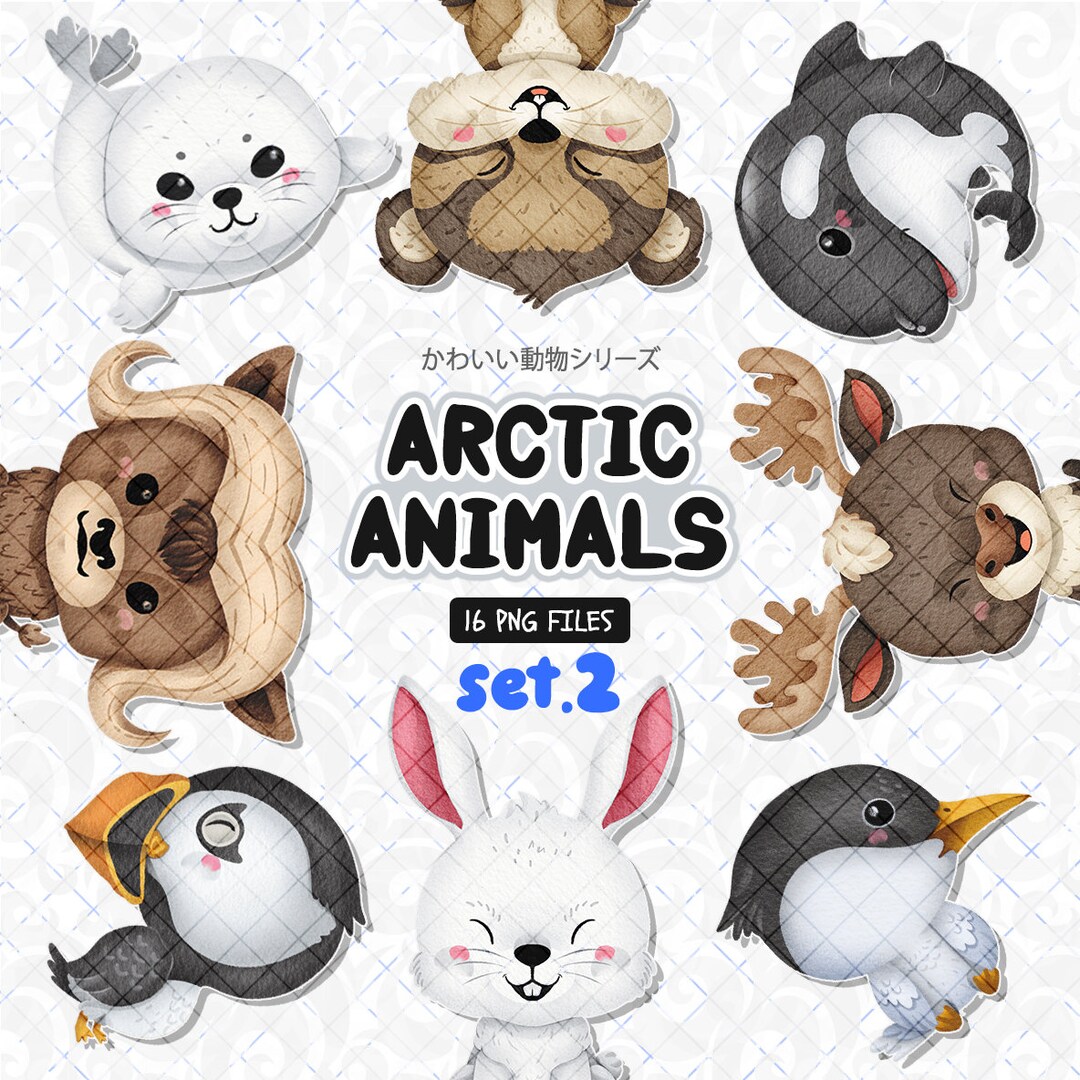 Winter Arctic Animal Clipart Pack Set 2, Bowhead Whale and Fox ...
