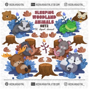 Sleeping Woodland Clipart Set 2, Resting Animals, Snoozing Forest ...
