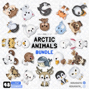 Arctic Animals Clipart BUNDLE, Puffin, Penguin, Beluga Illustrations ...