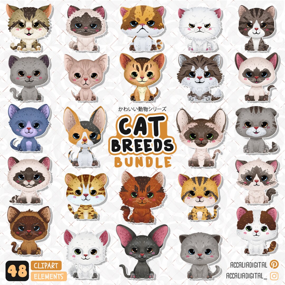 Cat Breeds Clipart Bundle: Hand-drawn Feline Stickers (PNG) - Etsy