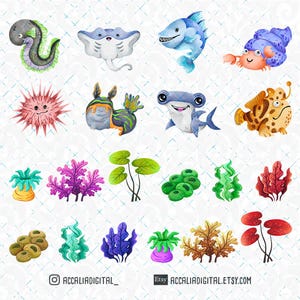 Sea Animals Clipart Set 3 Underwater Sea Life, Ocean Animal Clipart ...