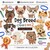 Woodland Student Animals Clipart Set 3, Back to School Clipart, Forest ...
