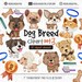 Woodland Student Animals Clipart Set 3, Back to School Clipart, Forest ...
