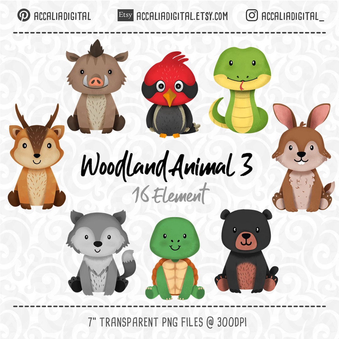 Woodland Animal Clipart Set 3, Digital Download, Animal Drawing and ...