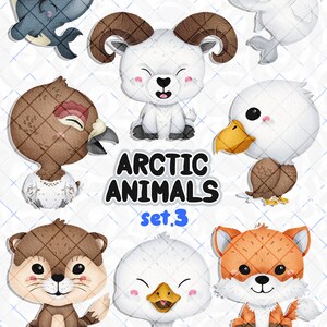 Arctic Animals Clipart Set 3, Bowhead Whale, Fox, Beluga Illustrations ...