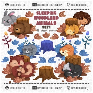 Sleeping Woodland Clipart Set 1, Resting Animals, Napping Friends ...