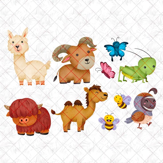 3 Cute Animal Friends