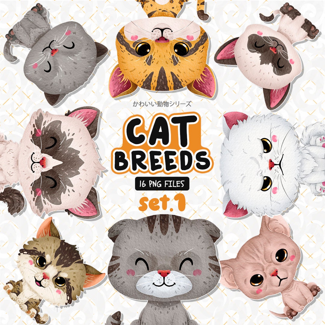 Cat Breeds Clipart Set 1 Cute Cat Sticker, Friendly Kawai Animal, Pet ...