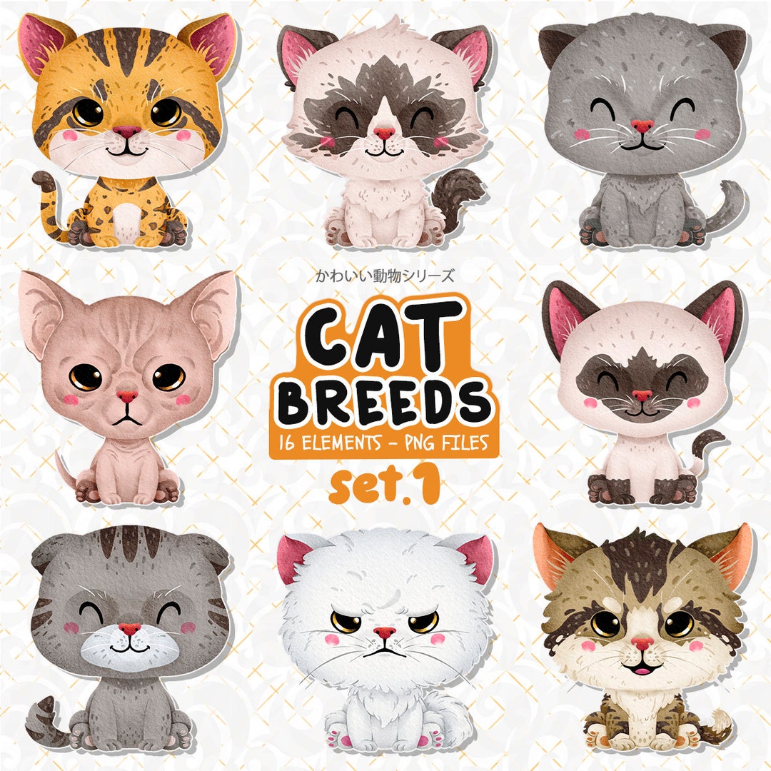 Cat Breeds Clipart Set 1 Cute Cat Sticker, Friendly Kawai Animal, Pet ...
