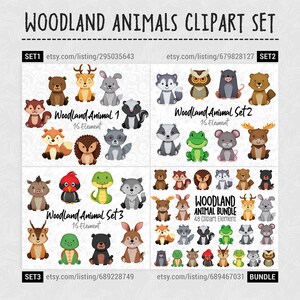 Woodland Animal Clipart Set: Hand-drawn Forest PNG Stickers (digital ...