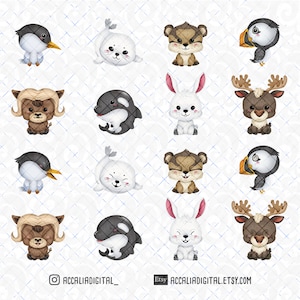 Arctic Animals Clipart BUNDLE, Puffin, Penguin, Beluga Illustrations ...