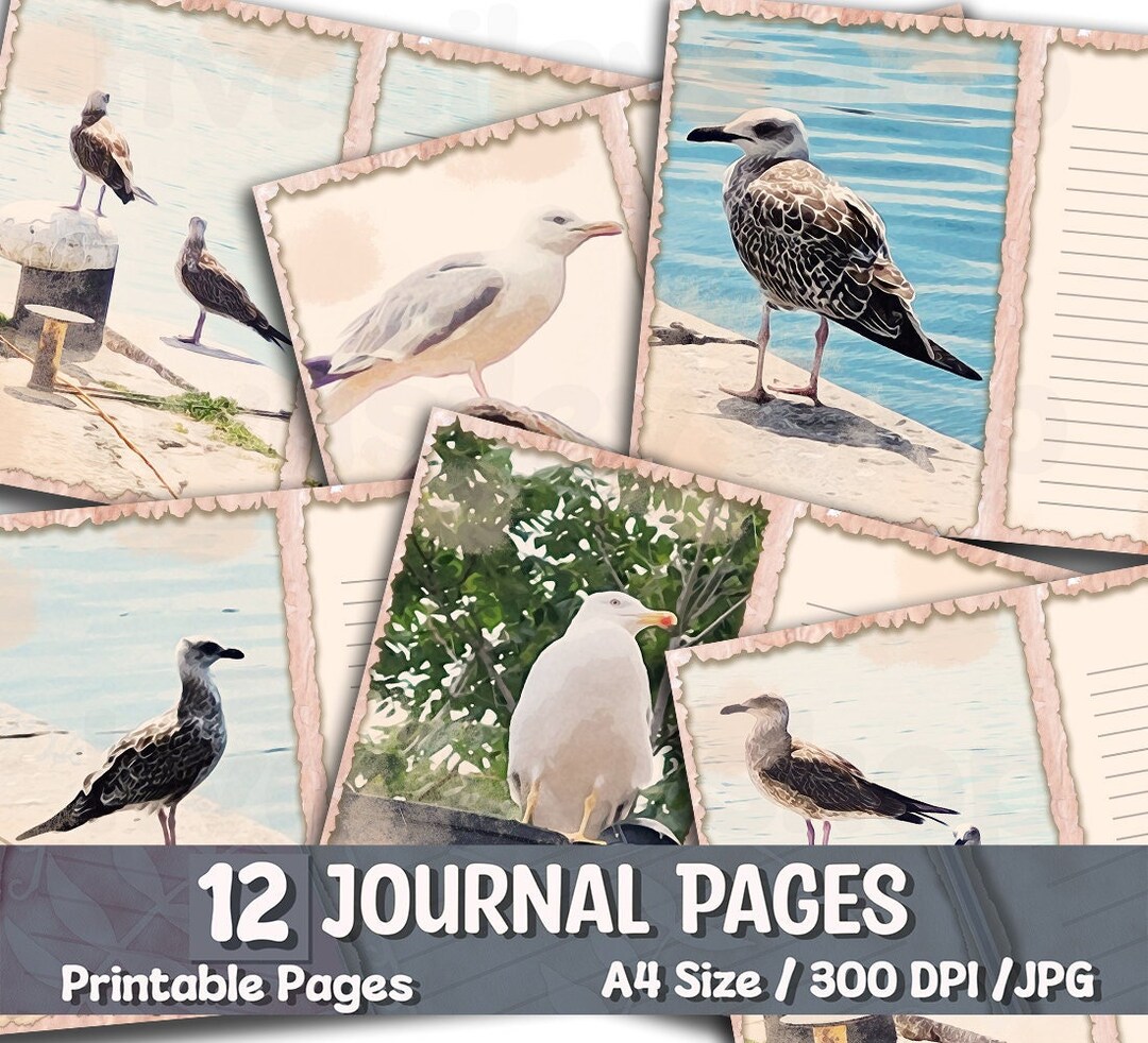 Seagull Junk Journal Pages, Seagulls Digital Paper, Junk Journal Pages ...