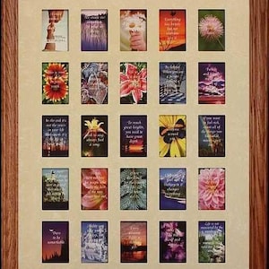 16X20 Age Progression Photo Frame | 25 Opening 2x3 Wallet Collage Frame ...