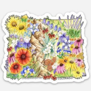 Colorado State Vinyl Sticker, Watercolor Floral, Outdoor Art ...
