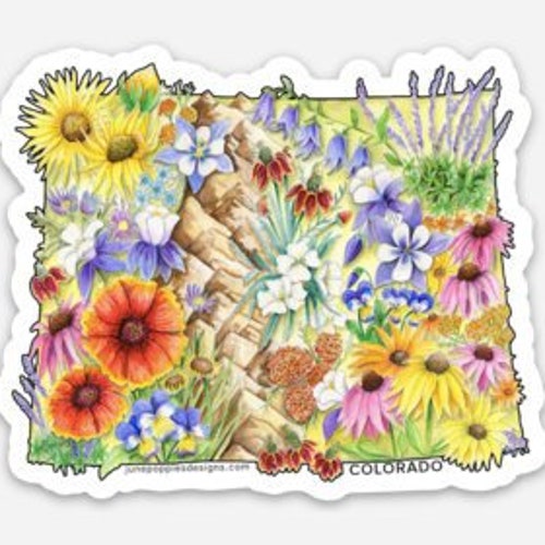 Colorado State Vinyl Sticker Watercolor Floral Outdoor Art - Etsy