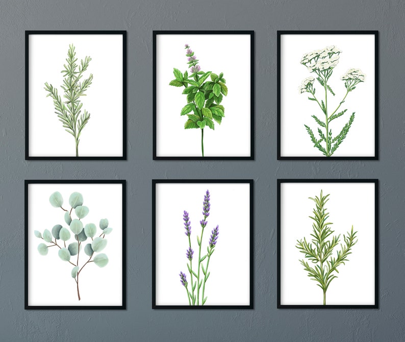 Peppermint Peppermint Art Calming Decor Peppermint Plant - Etsy