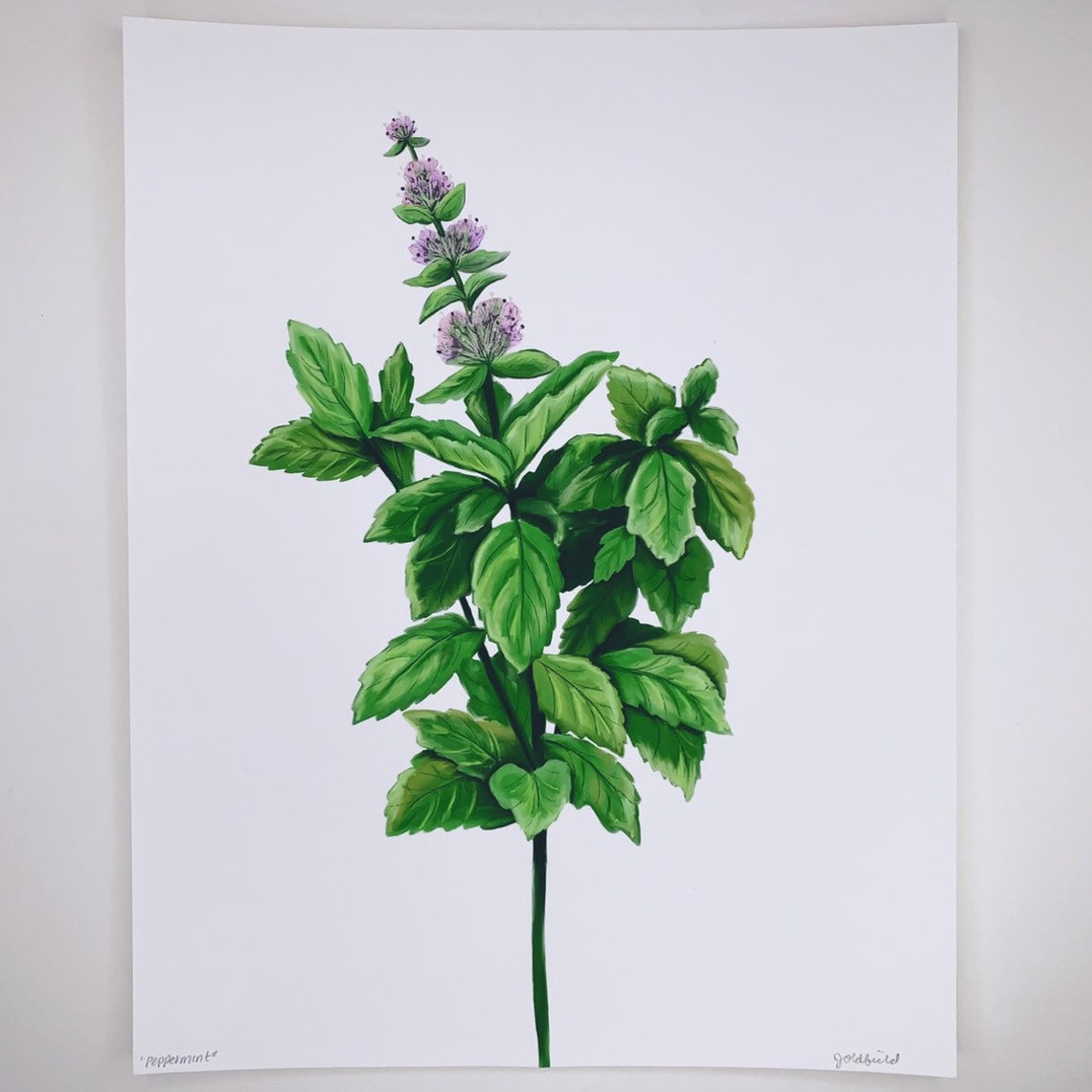 Peppermint Peppermint Art Calming Decor Peppermint Plant - Etsy